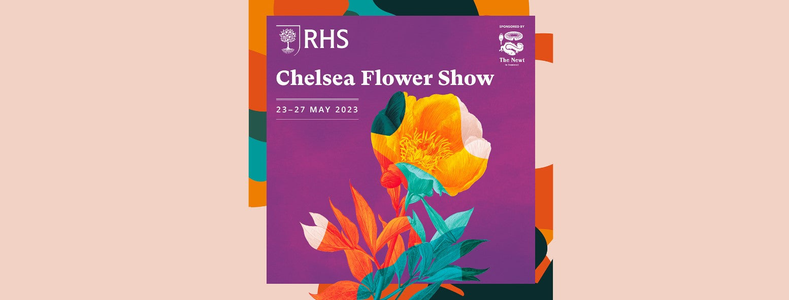 Chelsea Flower Show 2023 | Lulus World Blog